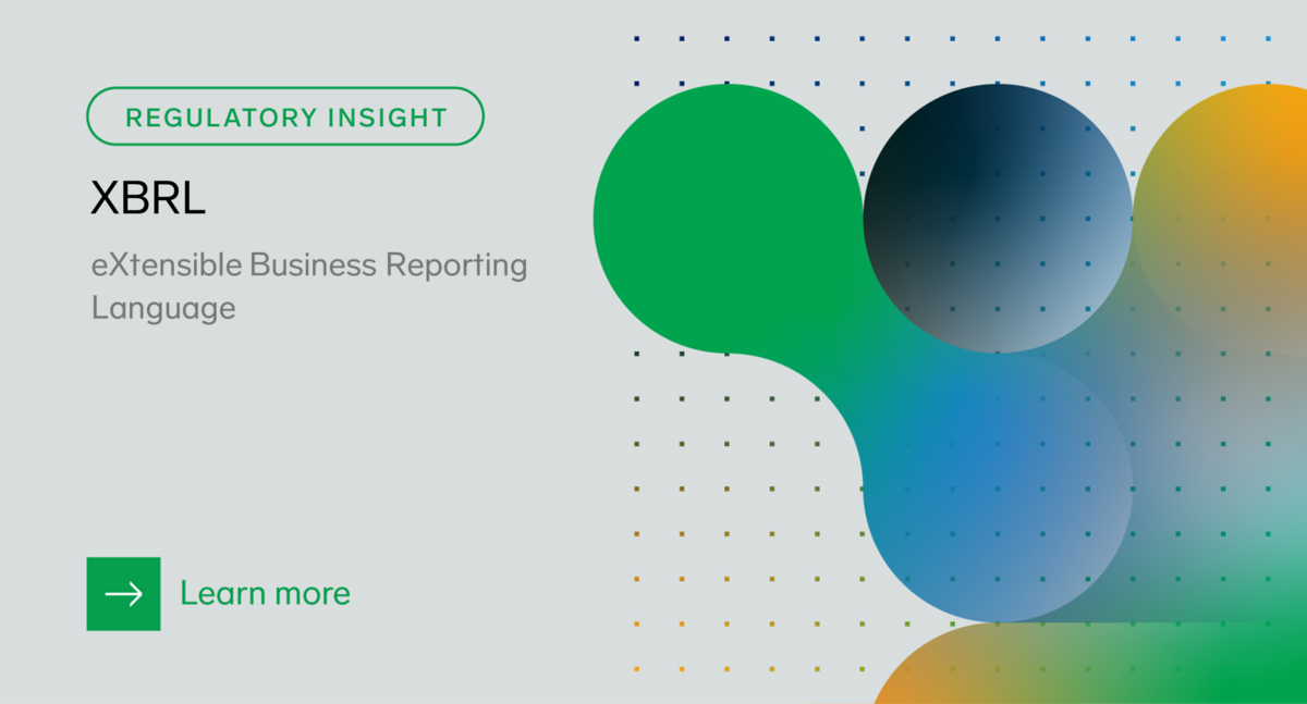 XBRL – eXtensible Business Reporting Language | Regnology